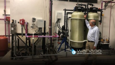 Discover These Greywater Projects Using Grey Water Systems